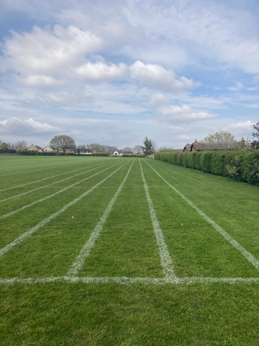 100 Days of Exercise – Bean Rambling